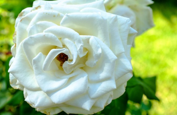 Just Back from Iran: The 10 Biggest Surprises - Wendy Perrin