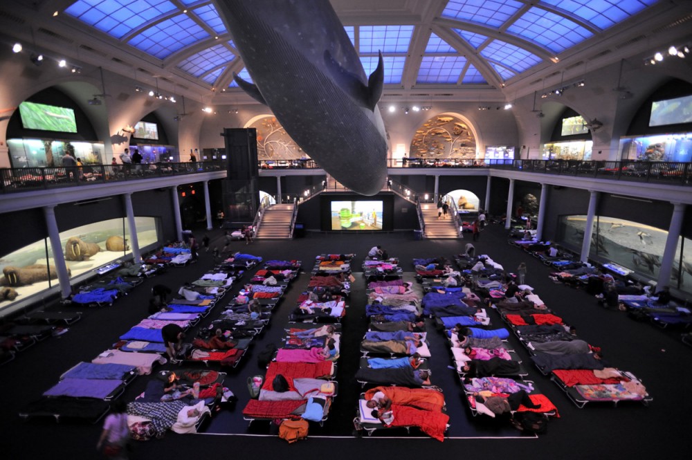 5 Reasons to Sleep in a Museum