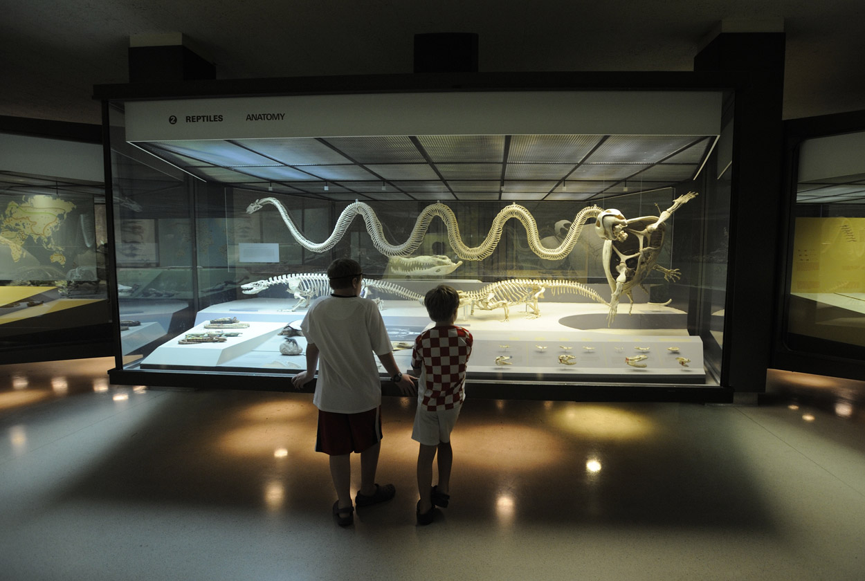 5 Reasons to Sleep in a Museum