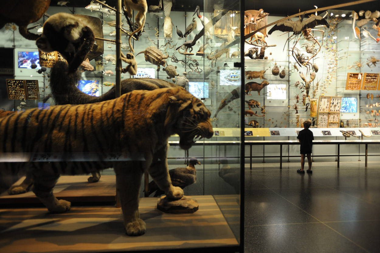 5 Reasons to Sleep in a Museum