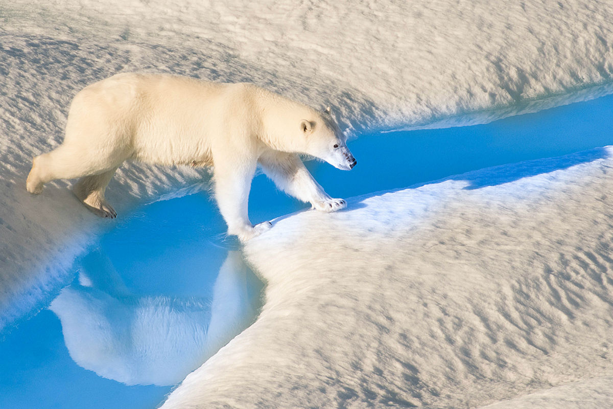 Arctic by Land and Sea Insider's Travel Guide