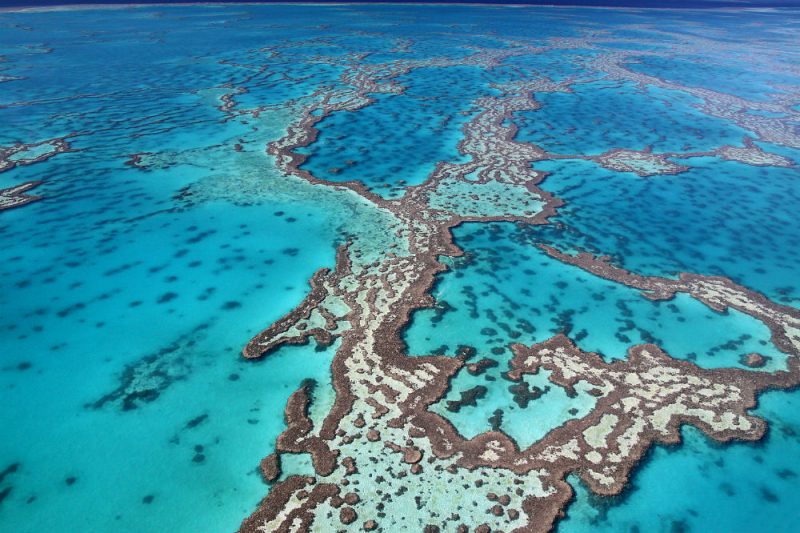Great Barrier Reef, Australia: Insider's Travel Guide
