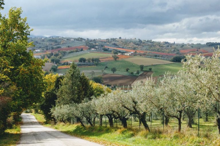 Where to Go in November: The Best Places to Travel