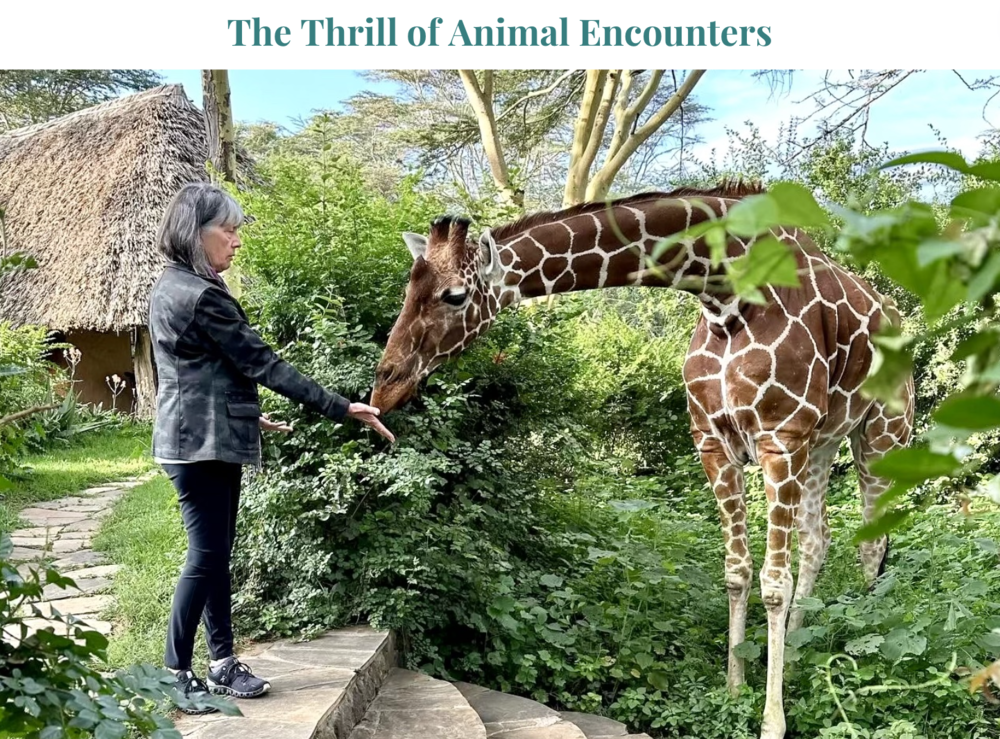 WOW List FAQs: How You Benefit