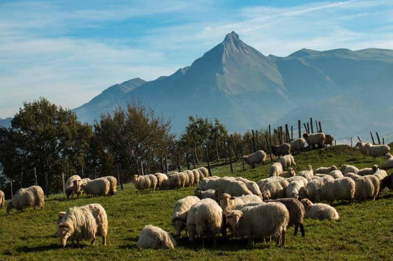 Insider's Guides to 178 Destinations - Wendy Perrin