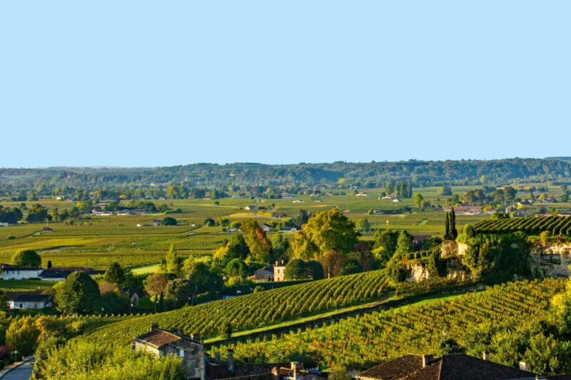 Travelers Just Back: Real Reviews That Show The WOW List Works - Wendy ...